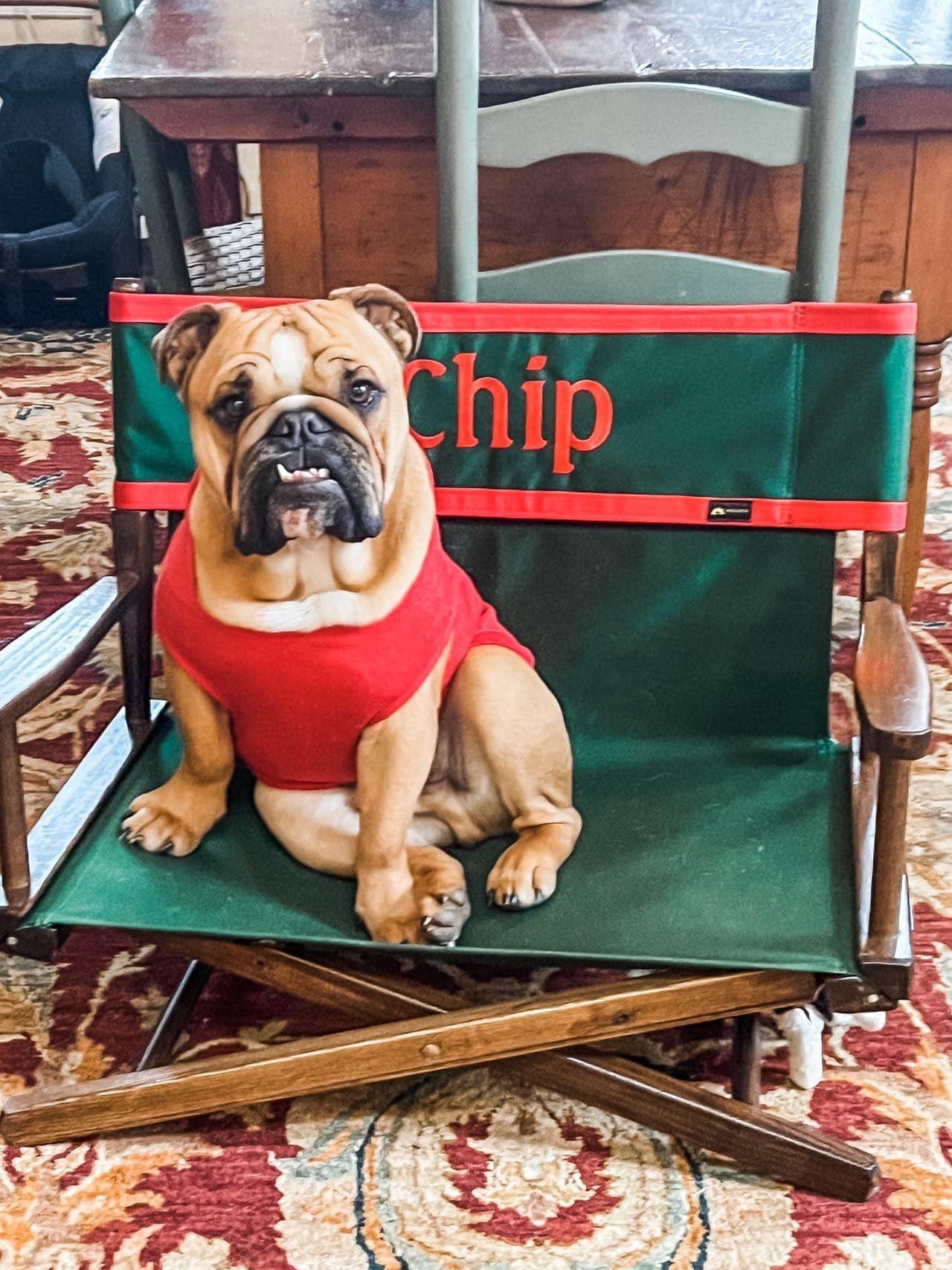 Custom Directors Chairs - Personalized Directors Chairs - Matworks